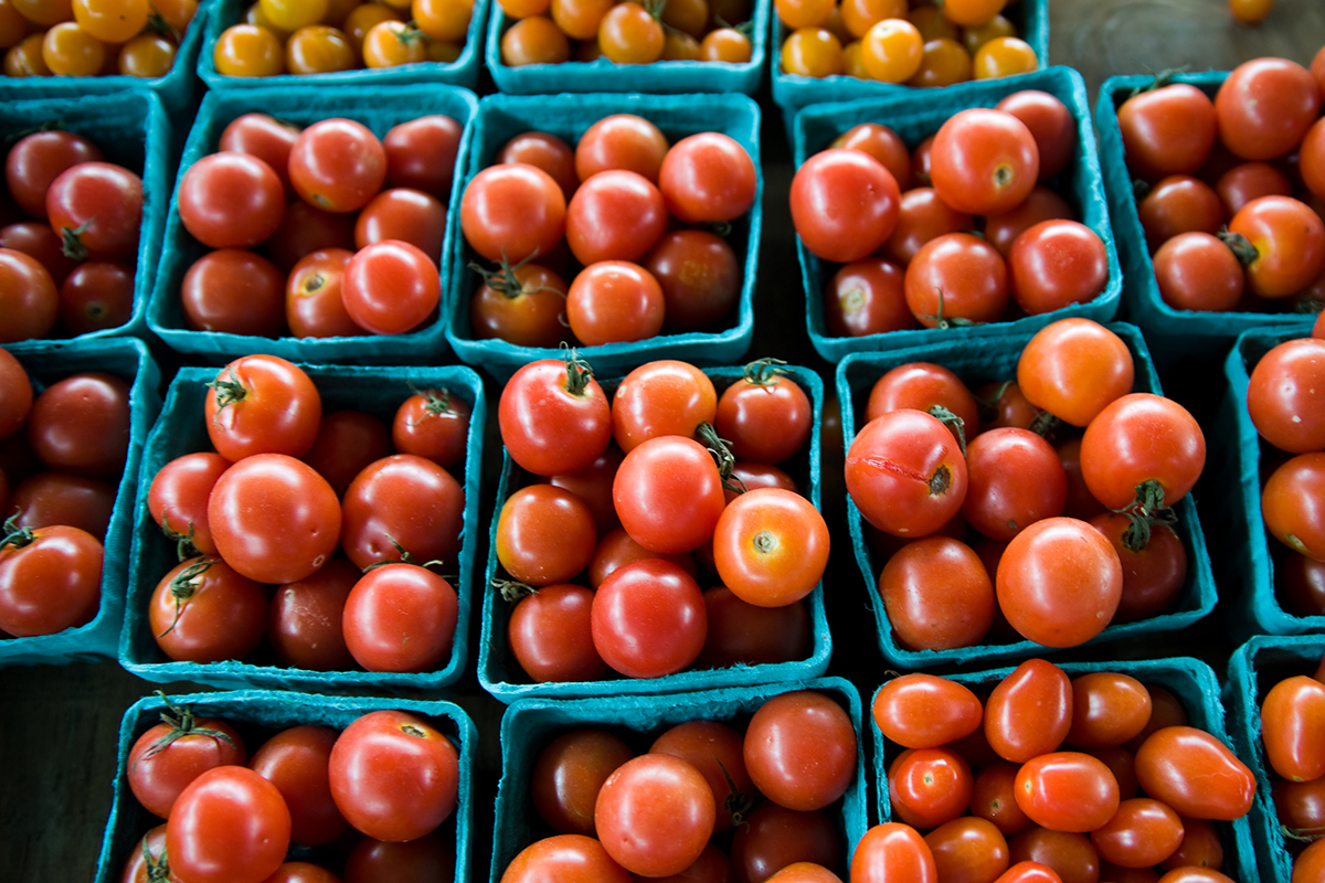 ONSSA: No suspension of European imports of Moroccan cherry tomatoes