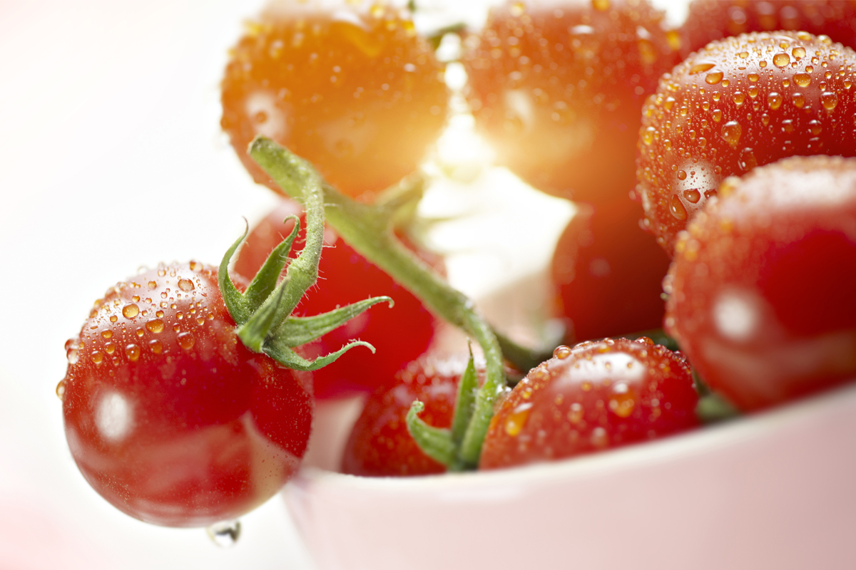 Frost and low demand limit Argentina tomato prices