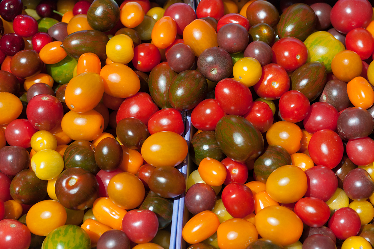 Les prix des tomates dans l'UE en août 2024 s'élevaient à 128 €/100 kg