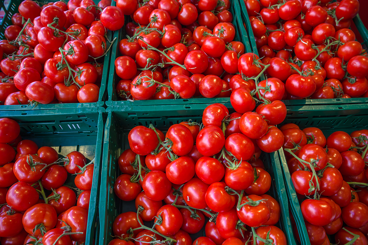 Tomato prices rise amid supply disruptions