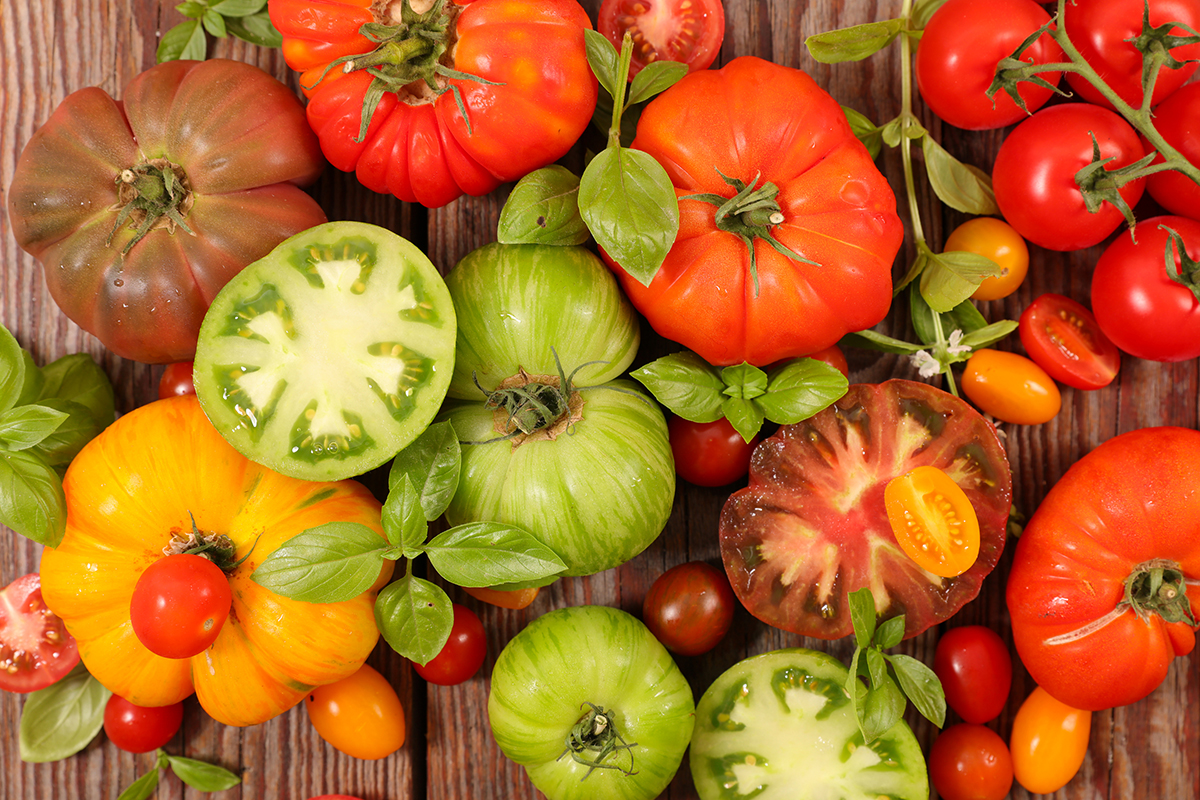 Pakistan tomato prices decline after Iranian imports increase