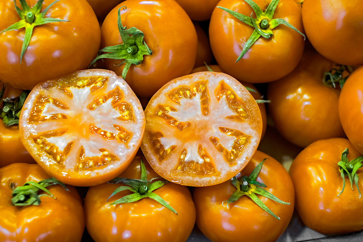 In Astana, nearly 3000 infected tomato seeds from Russia were burned