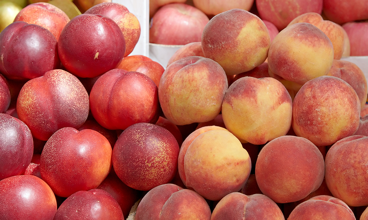 China leads exports of peaches and nectarines in Central Asia