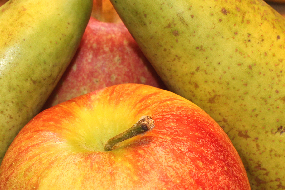 Sin margen frente a Chile y EE. UU.: la fruta argentina queda atrapada ...