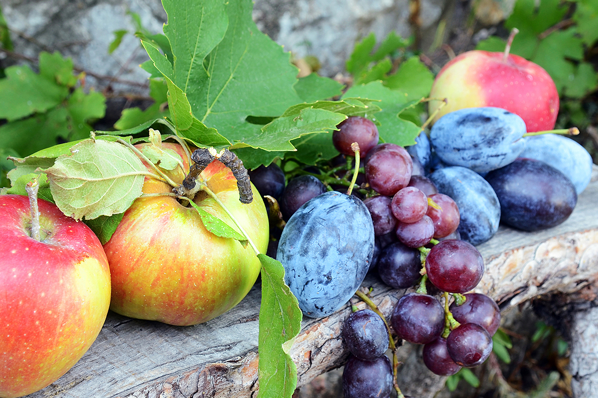 Fruit trends 2024: apples, pears, and grapes down; blueberries up