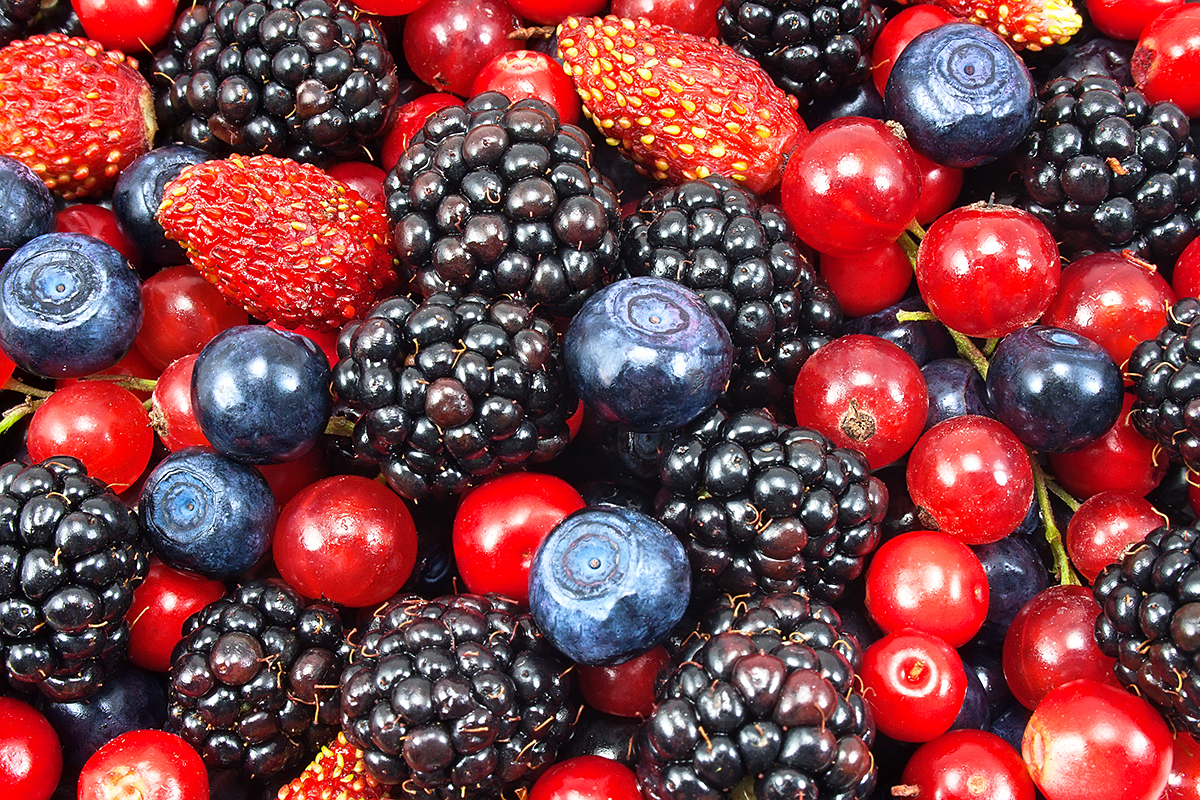 Spain sees export opportunities for Huelva berries under Mercosur