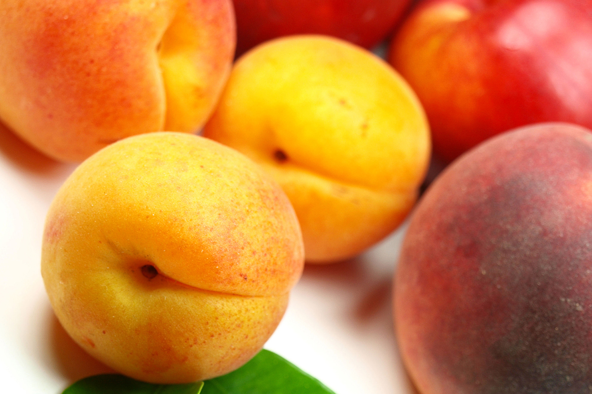 Uzbekistan boosts fruit and vegetable exports in 2024: apricot and cabbage lead the way