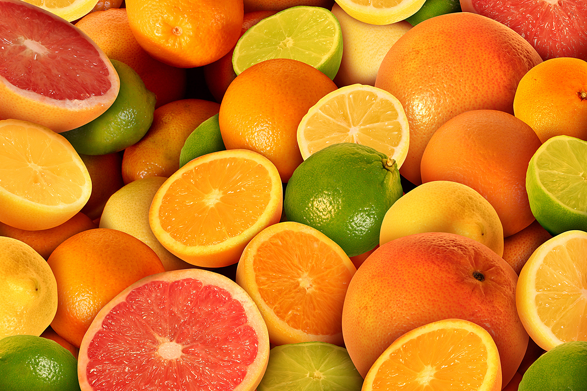 Chile exported 397,417 tons of citrus in 2024