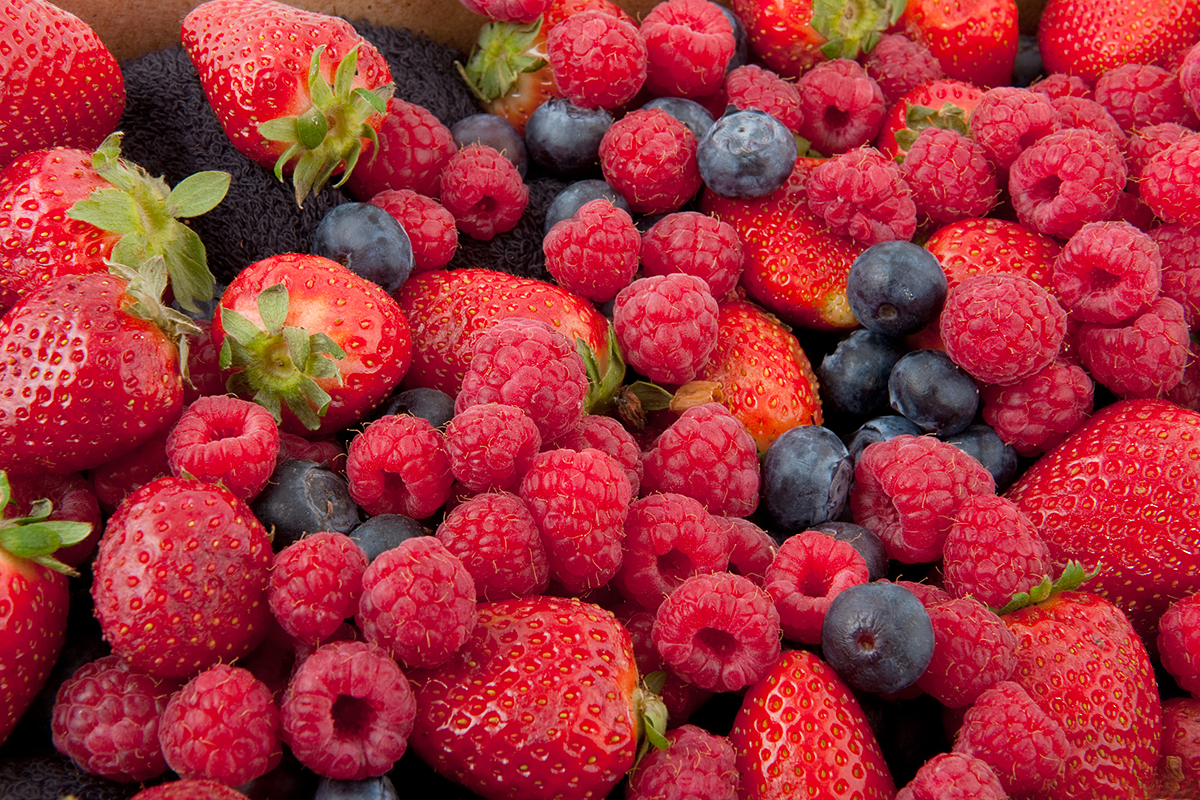 British Columbian growers replant with climate-resilient fruit varieties