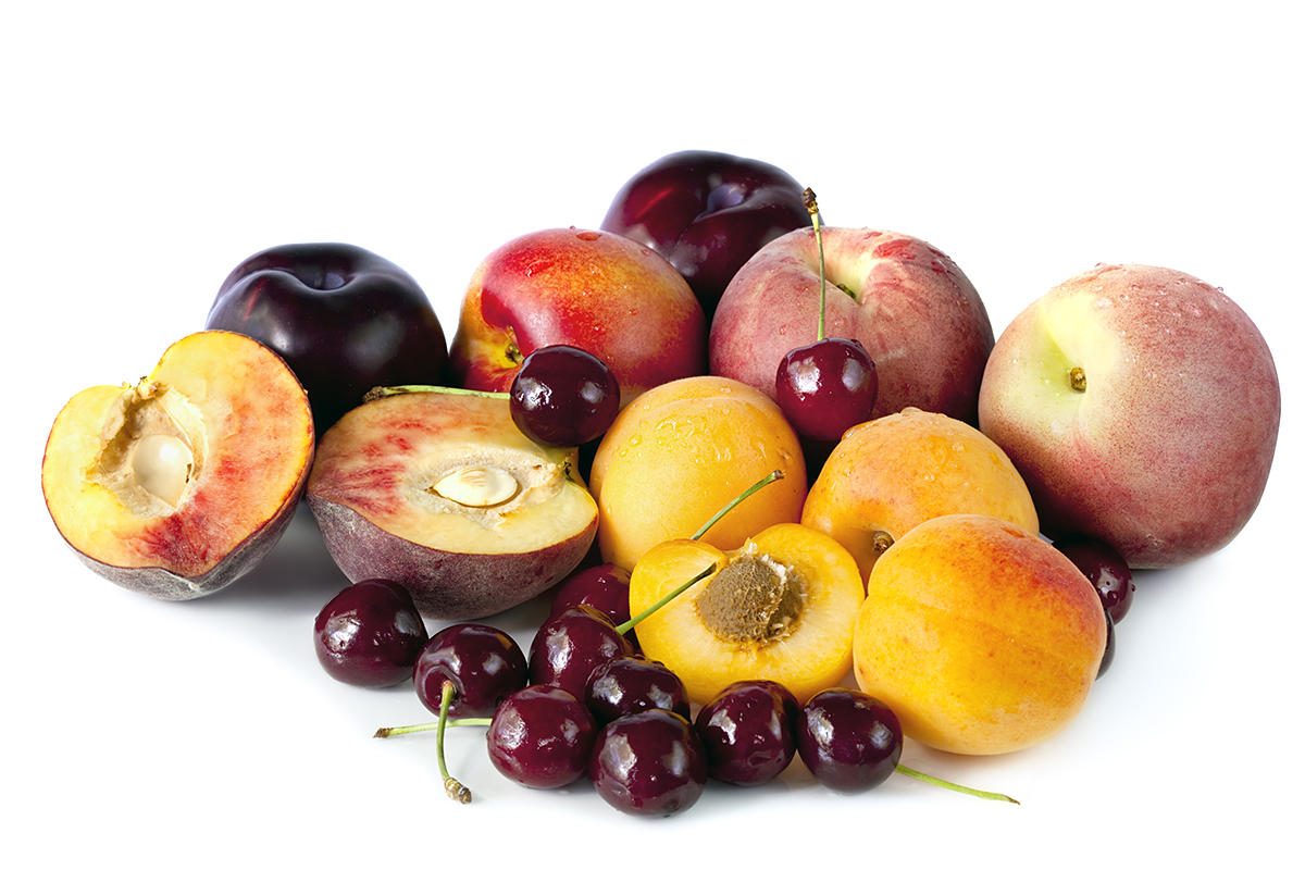 Uzbekistan exports over 311,000 tons of fruits in first half of 2025
