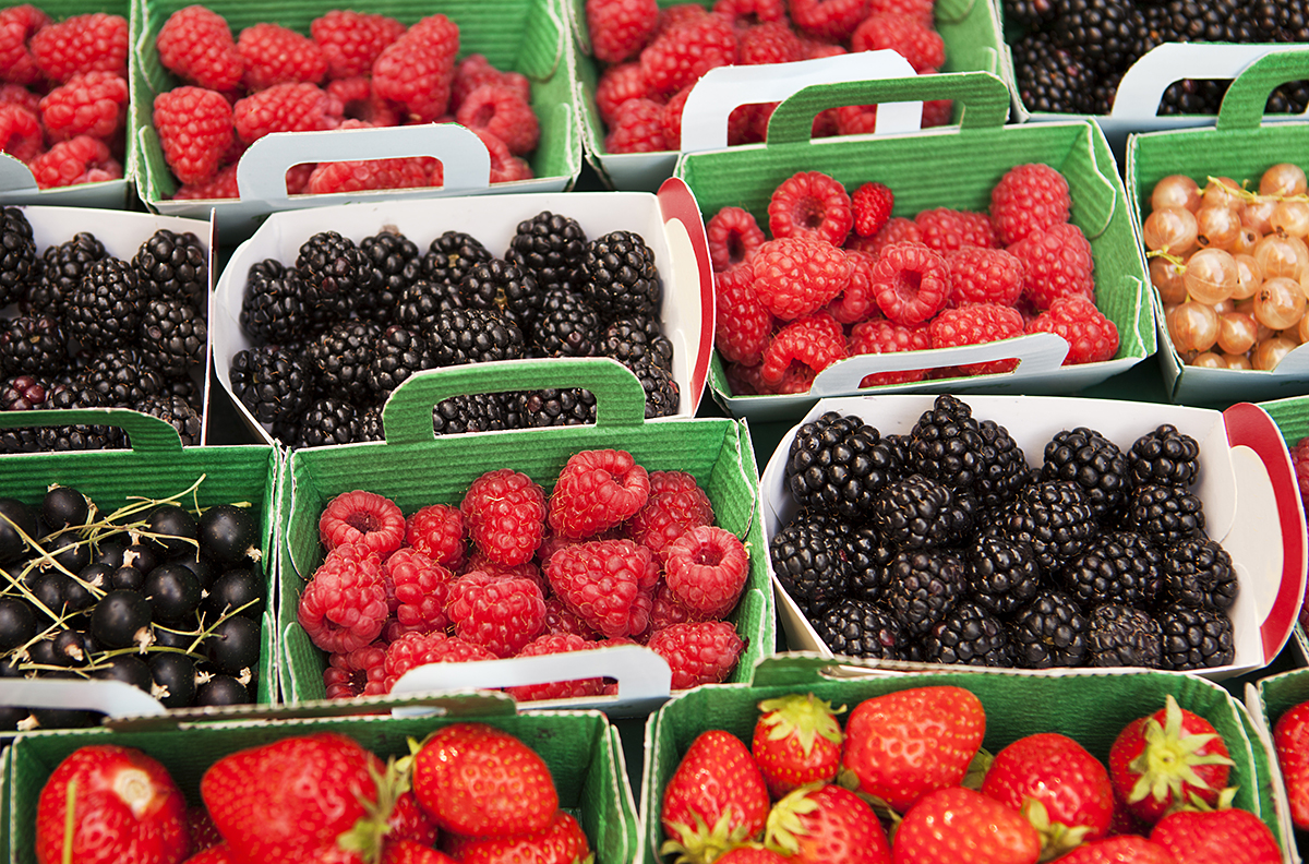 Ukrainian berry growers faced severe challenges amid war and ...