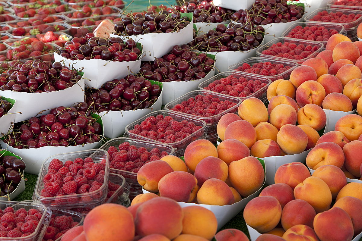 Chilean fruit exports reached record figures from January to April