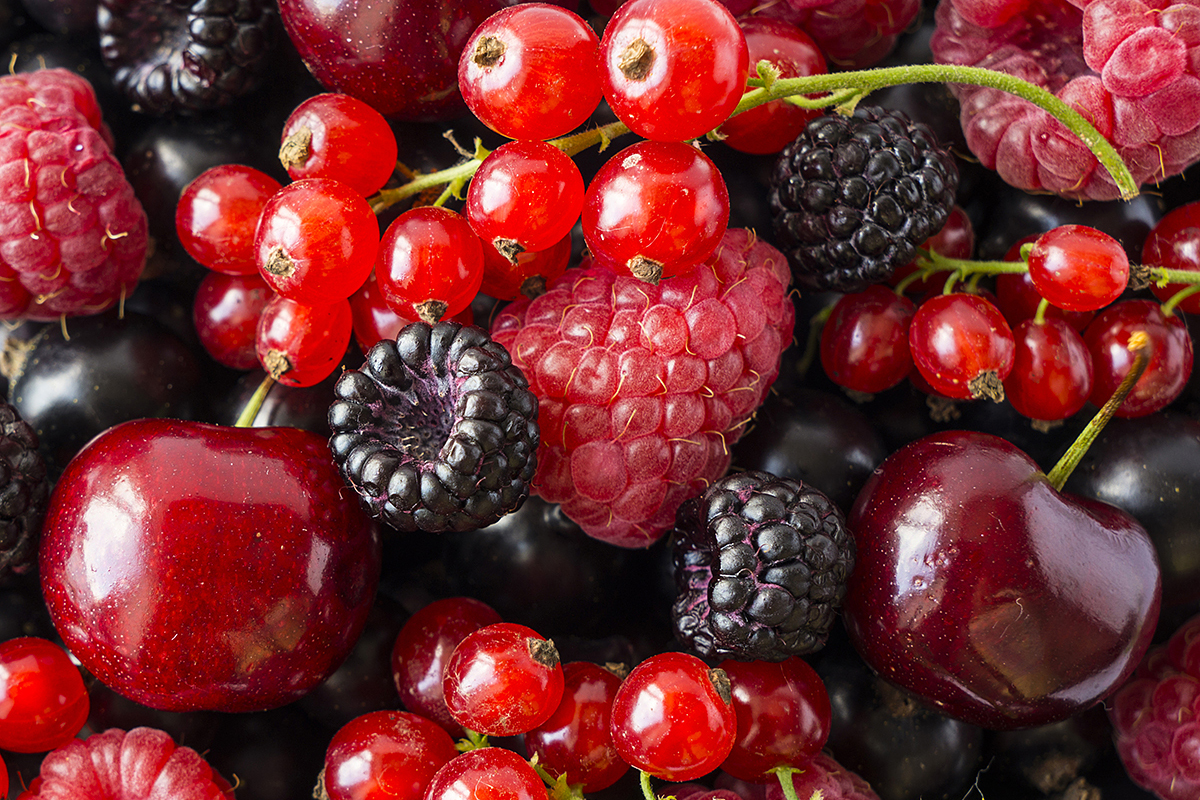 Ensuring fruit and berry supply in Kazakhstan amid Russian frosts