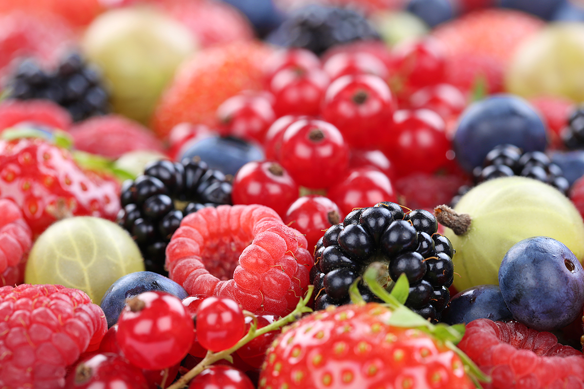 Mexican berry and tomato exports drop, avocados surge