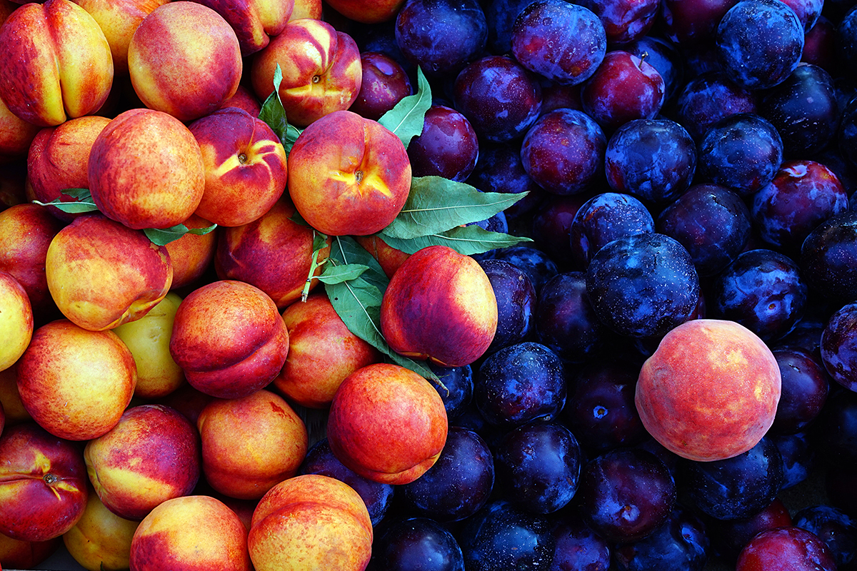 Moldovan plums and grapes available in Estonian supermarkets
