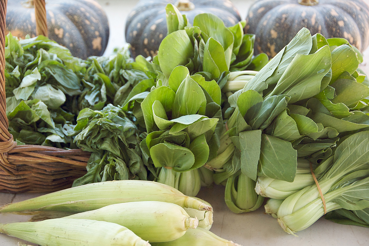 Malaysian rains push Kuantan vegetable prices higher