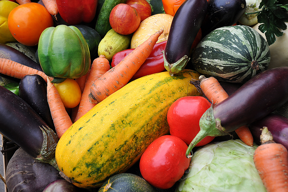 Kazakhstan’s fresh vegetable exports surge by 50% in 2024