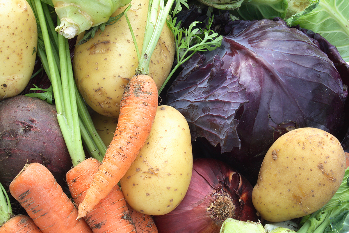 Kyrgyzstan increases vegetable imports from China by 70% in first ten ...