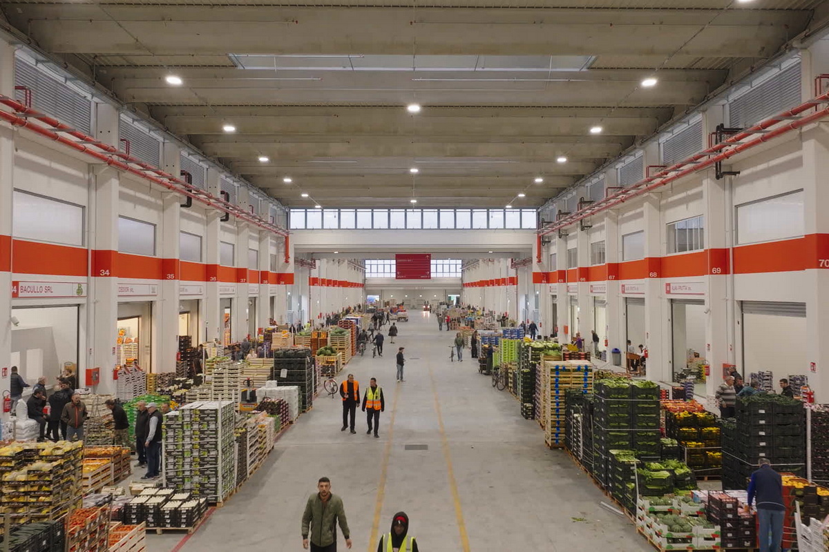 Ultimi prezzi ortofrutticoli all'ingrosso rilevati fino al 4 giugno 2026