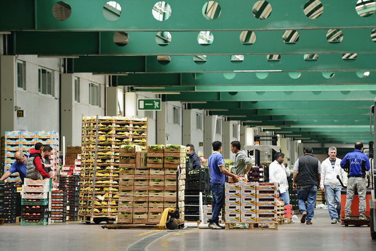 Ultimi prezzi ortofrutticoli all'ingrosso rilevati fino al 19 maggio 2026