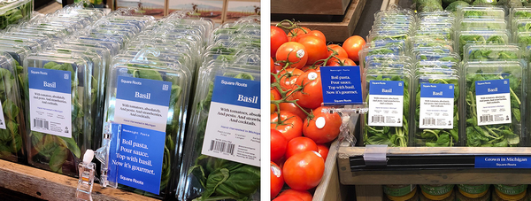 Square Roots deploys its latest indoor farm in Michigan