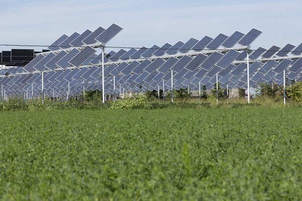 Agrivoltaics for vertical farming