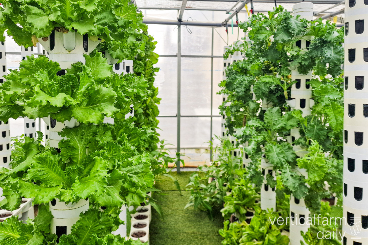 US (IN): Hydroponic grower advances with $82m development plan