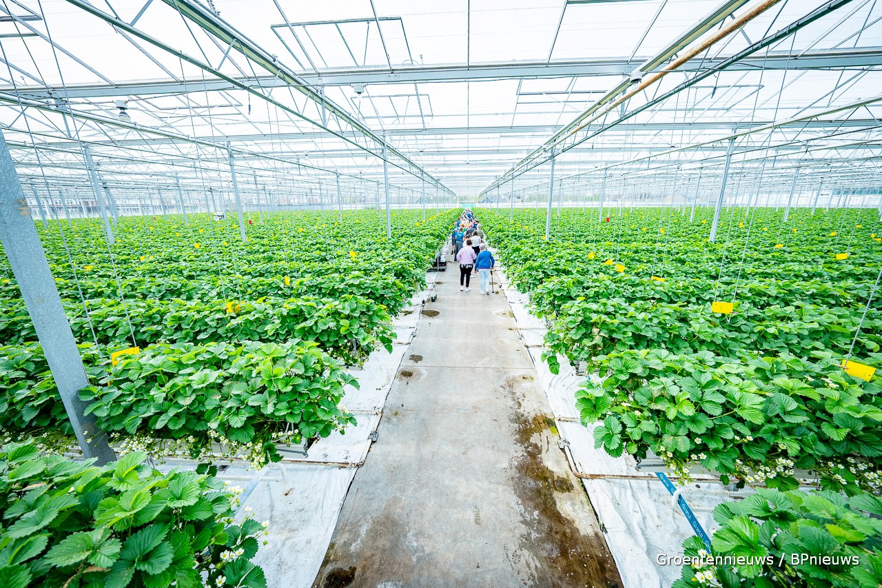 Dutch horticulture sector promotes Controlled Environment Agriculture