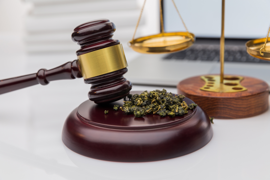 Germany pauses import approvals for medical cannabis after hitting 2025 ...