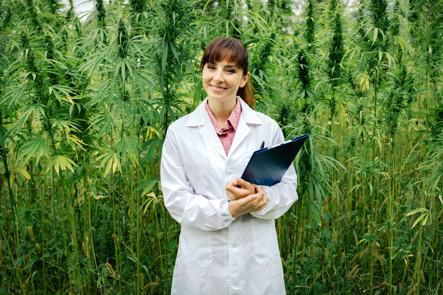 US: A look at 2024's hemp market