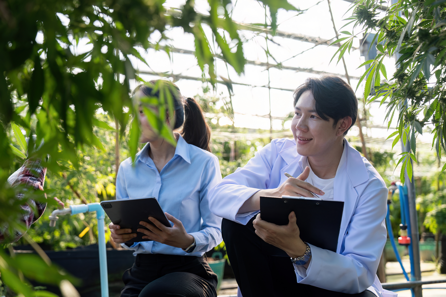 US (CO): Cannabis shops could see major tax relief under federal ...