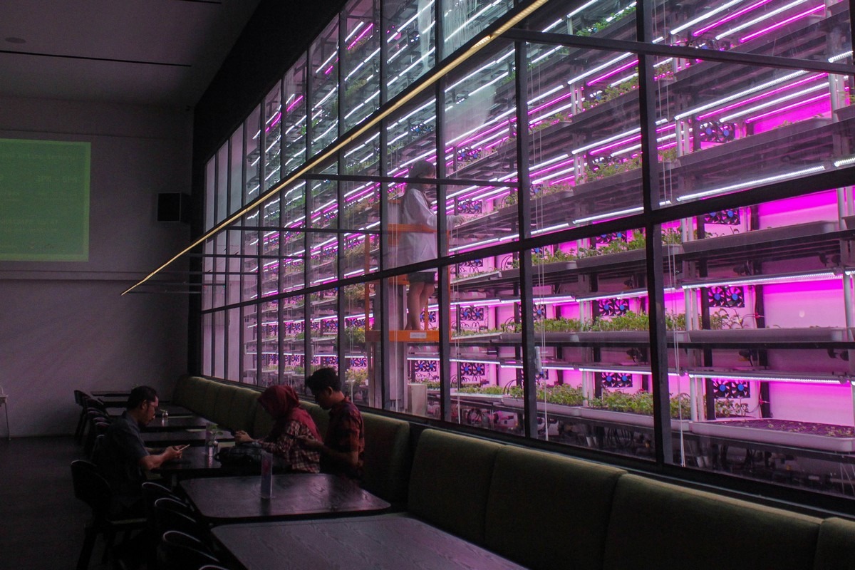 Examining the effects of applying fluid dynamics in vertical farming