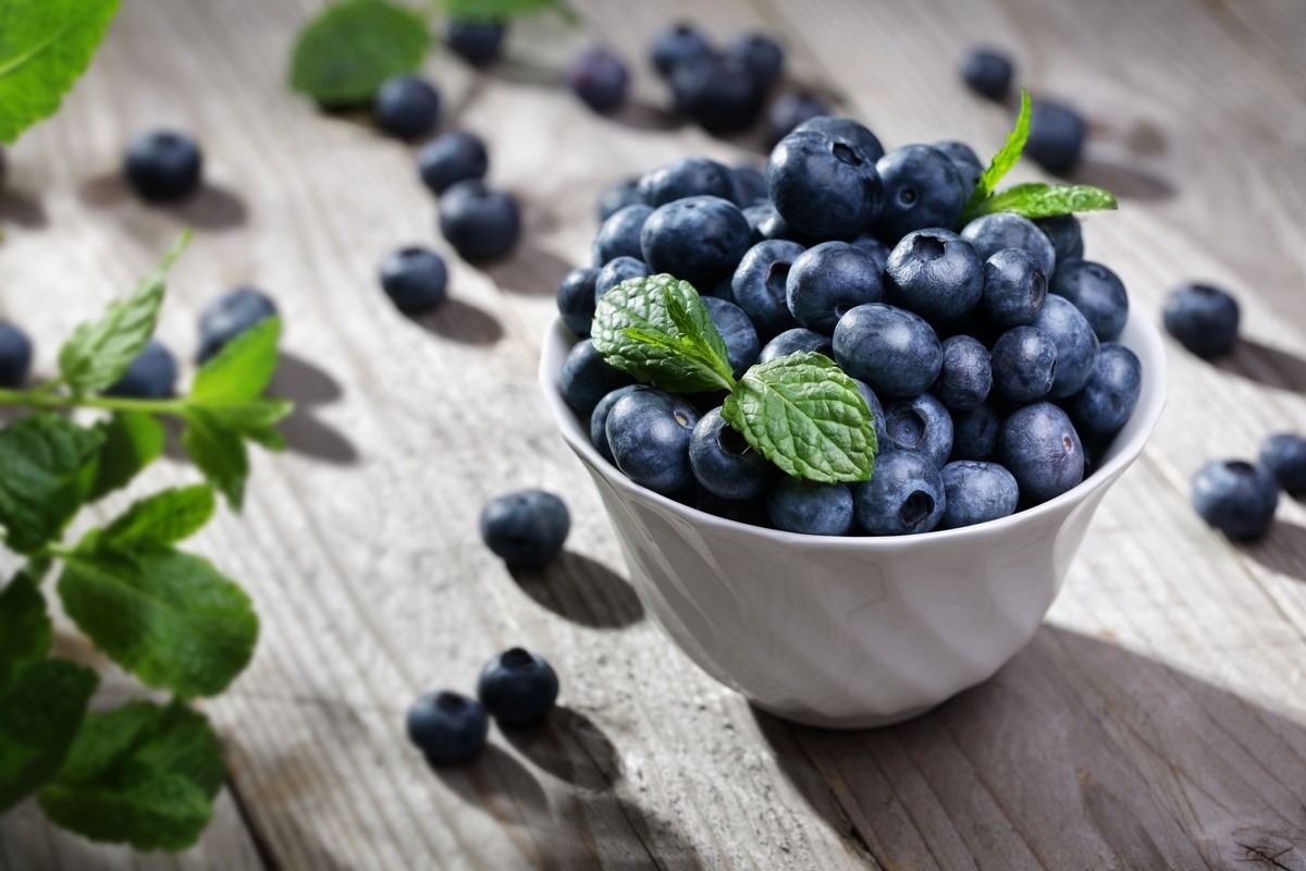 New Zealand: Confidence as blueberry market set to expand