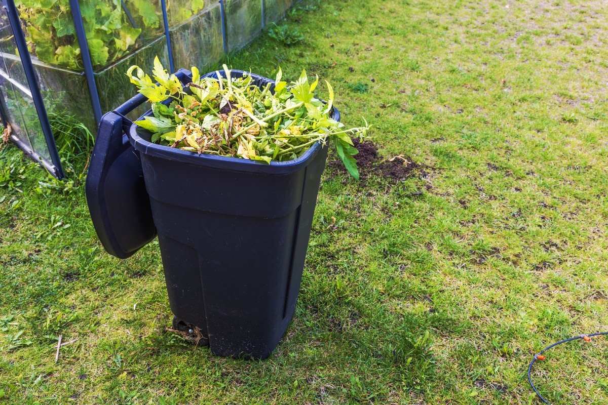 India: BCC to launch horticulture waste processing unit