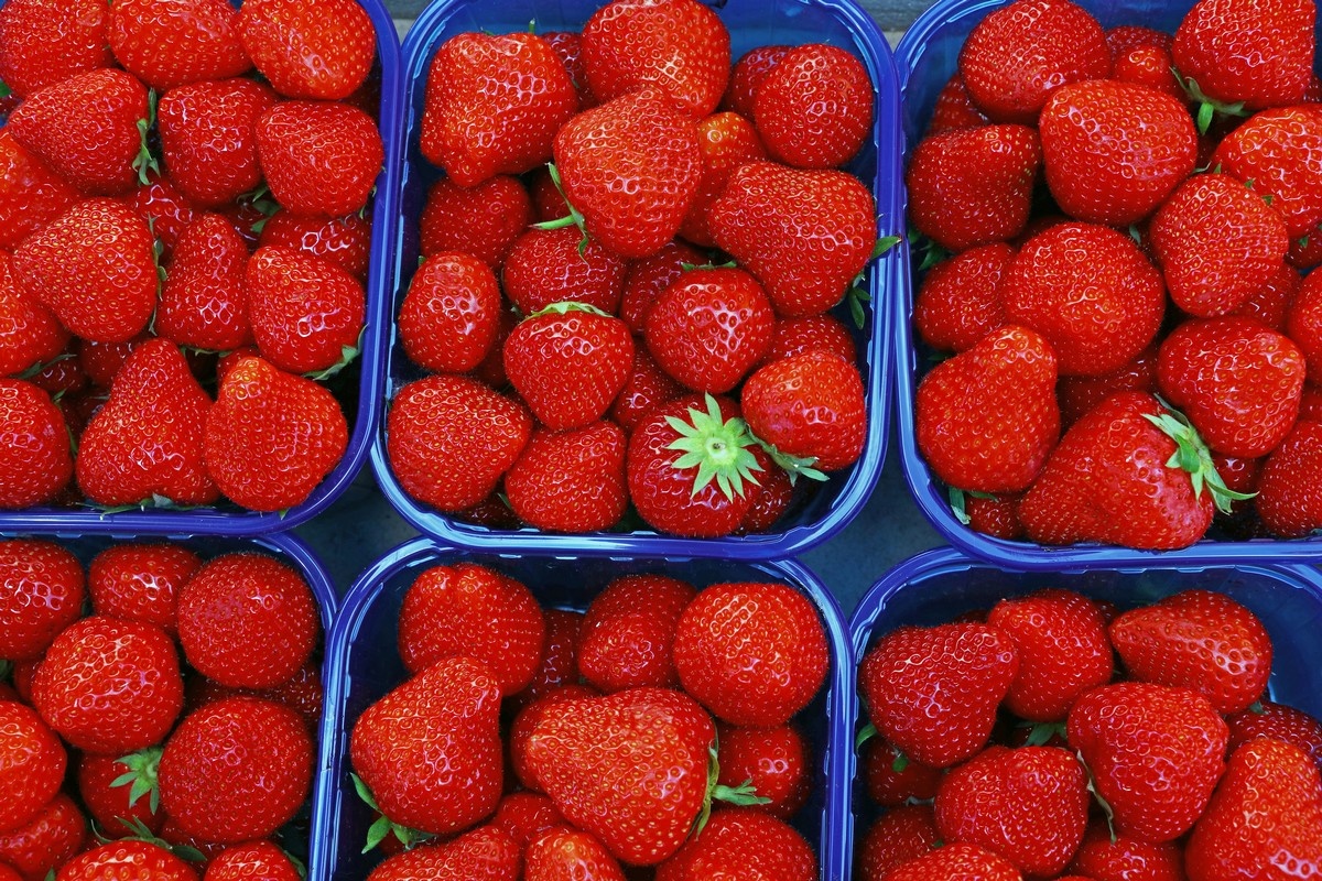 From student startup to market leader: Romania’s Abund Berry