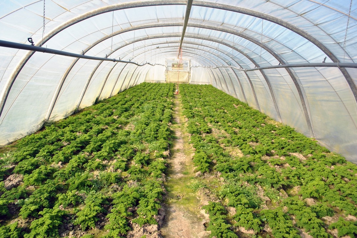 Combining multispectral and SAR satellite data to detect overuse of ...