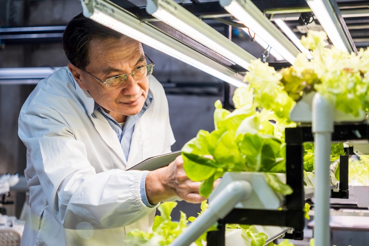 Australia: Finding new approaches to vertical growing