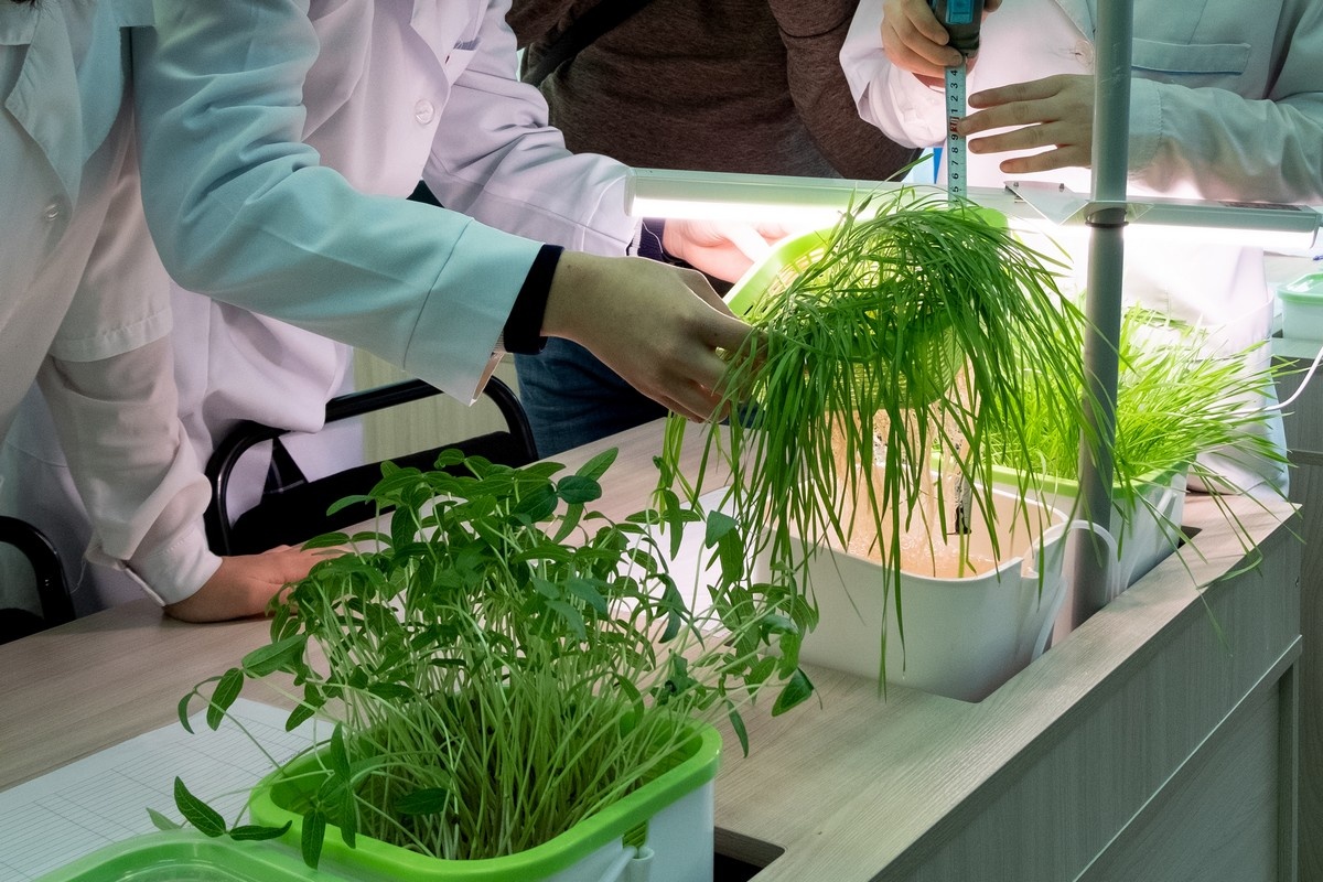 US: Fairview South unveils $3.5M renovation, launches hydroponic ...