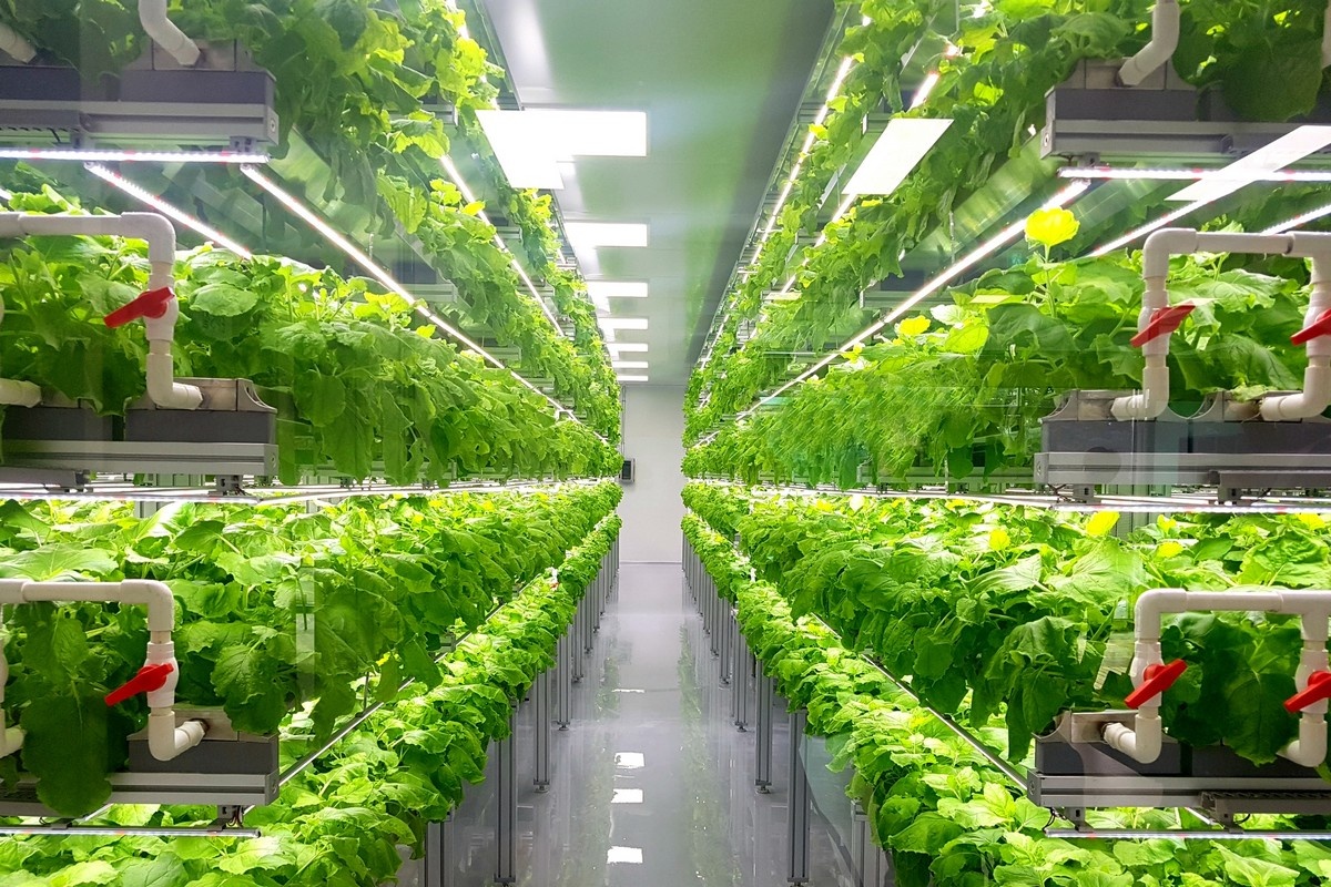 GrowGeneration acquires hydroponics supplier