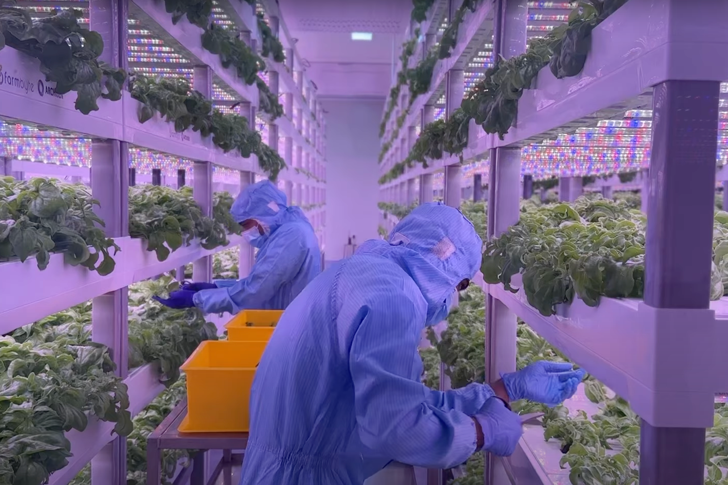 Singapore and Malaysia advance JS-SEZ frameworks, bolstering vertical ...