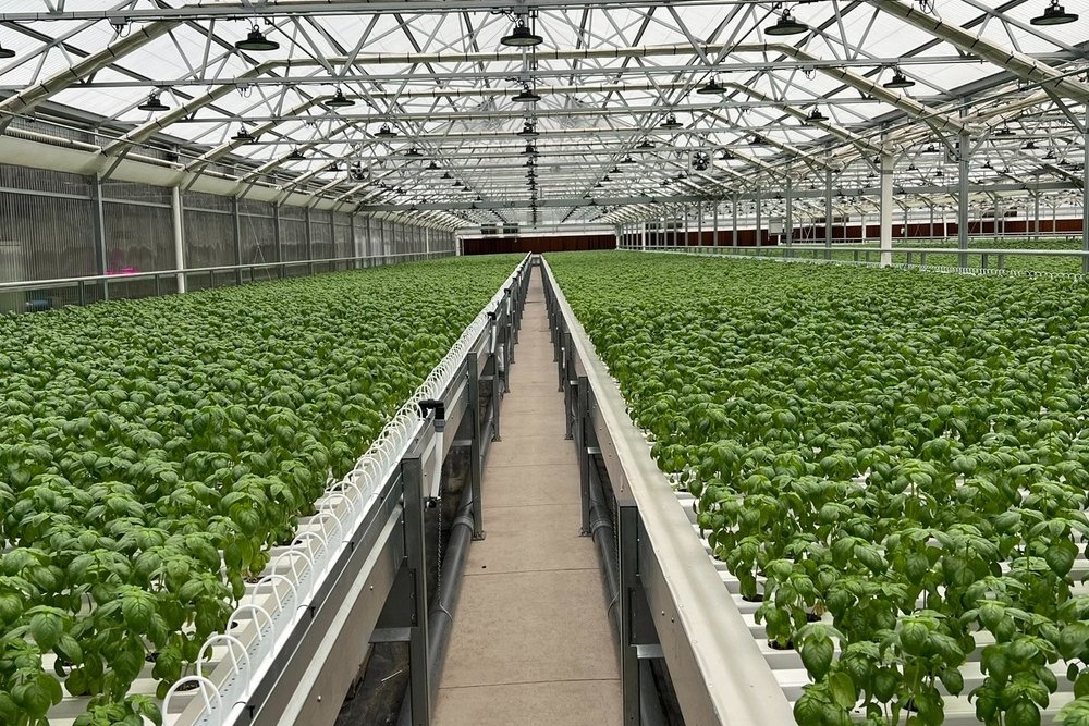 "We've worked with growers long enough to know what slows them down"