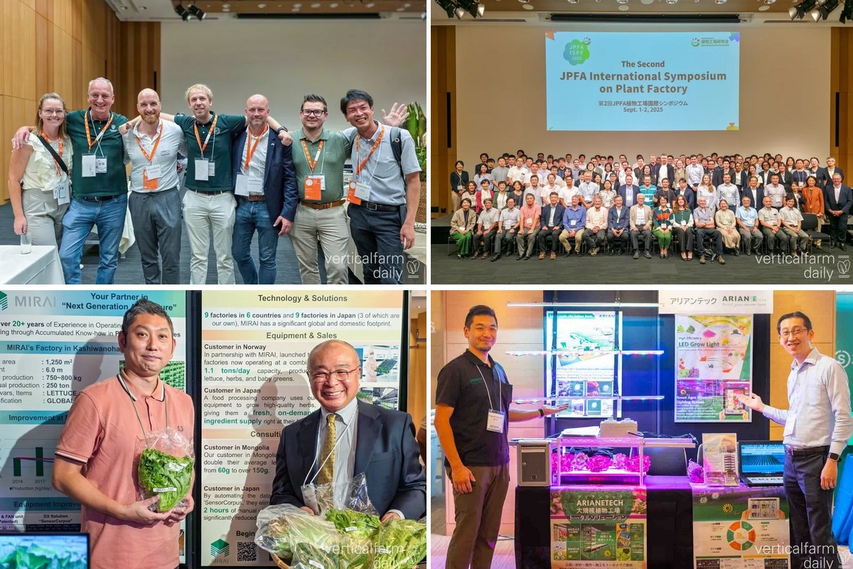 Japanese vertical farms can’t escape rising labor and energy costs