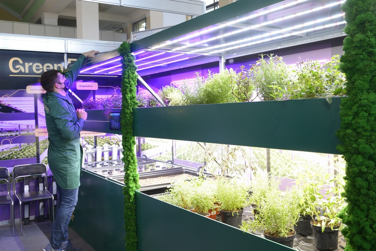 CAN: Calgary Senior Citizens Organization learn vertical farming