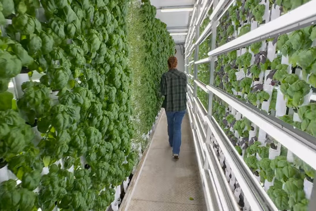 US: Veteran-owned vertical farm carries on family ag tradition