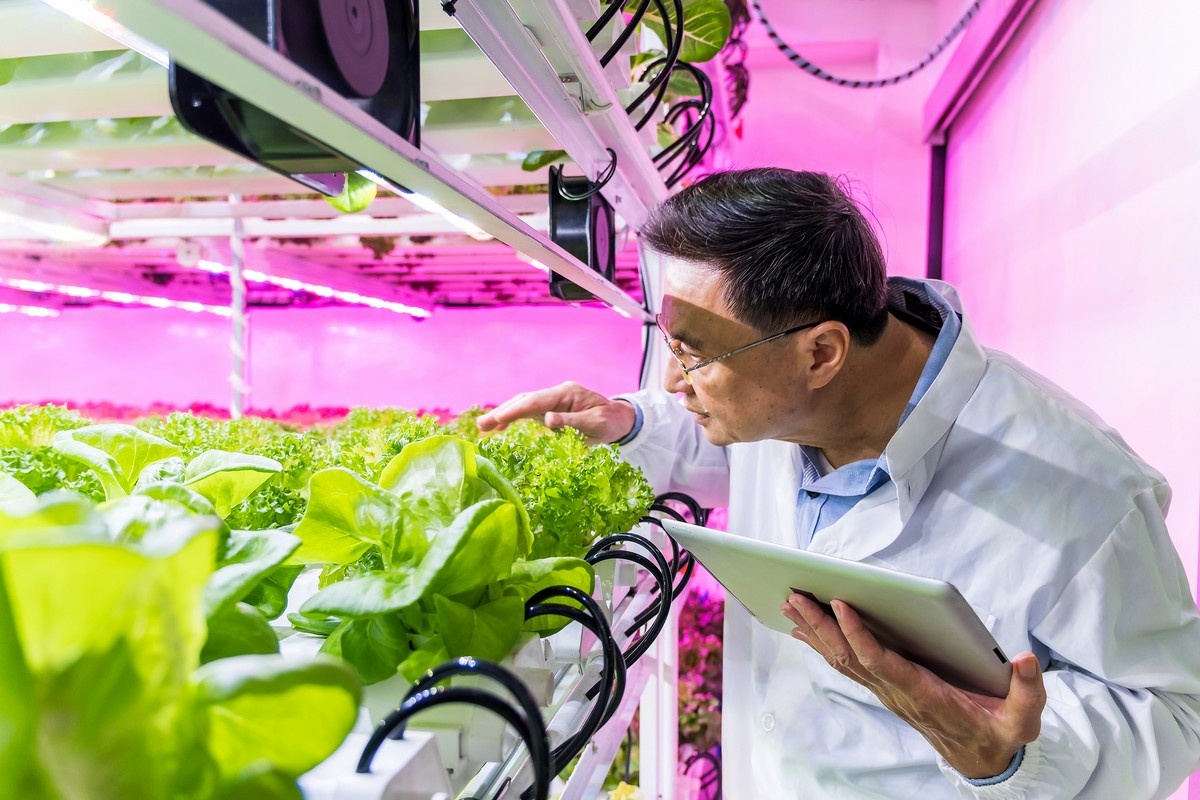 Balancing tech and automation in controlled environment agriculture