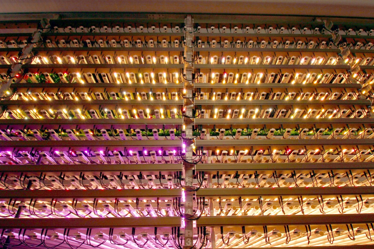 “The acquisition comes at a pivotal moment for Canada’s food ecosystem”